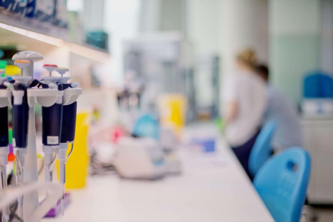 DIANA Biotechnologies | Diversified Biotech